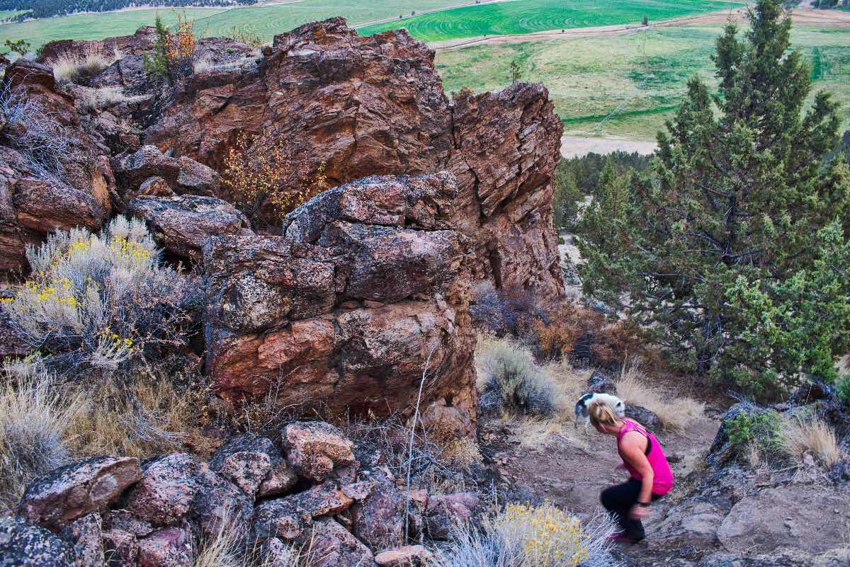 Barnes Butte Hike Image