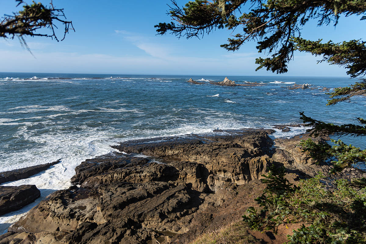 Cape Arago State Park - North and South Coves Hike Image