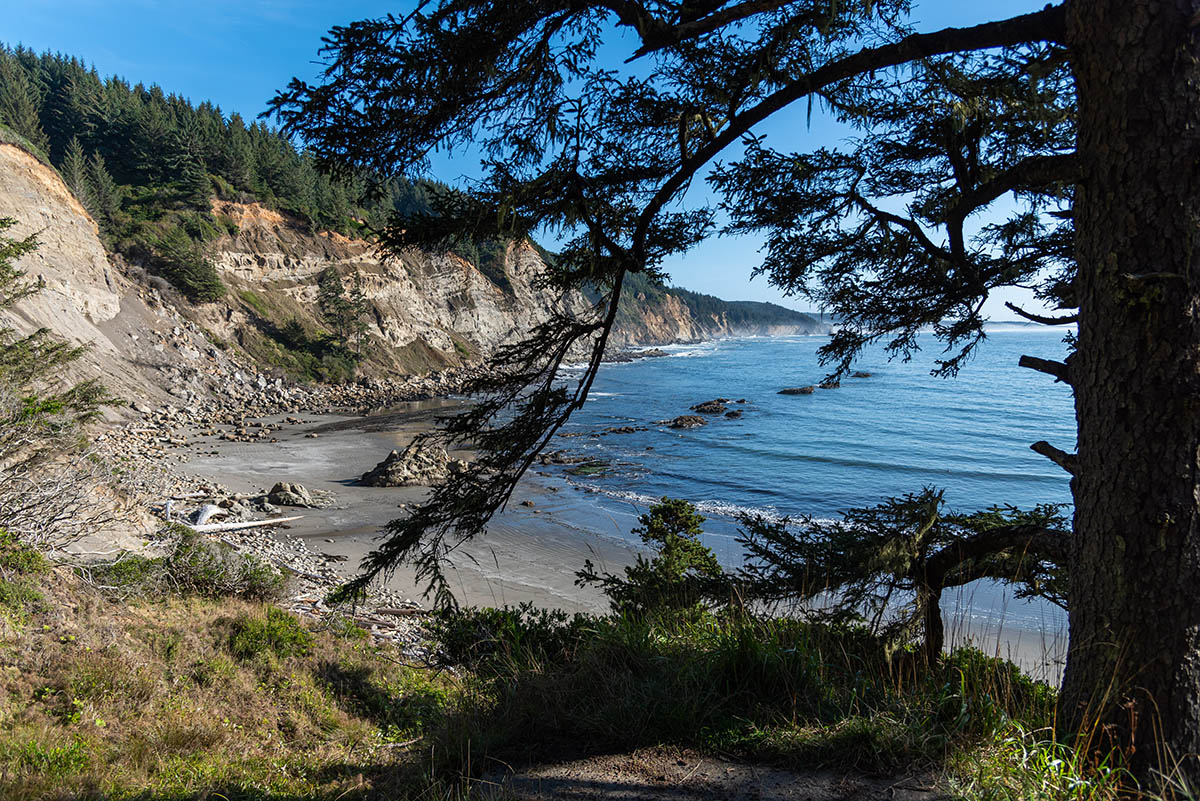 Cape Arago State Park - North and South Coves Hike Image