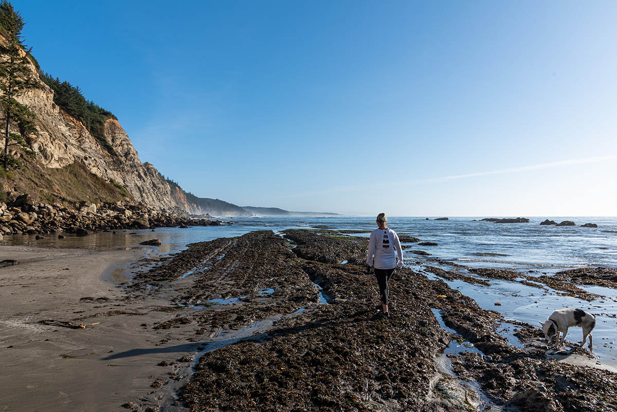 Cape Arago State Park - North and South Coves Hike Image