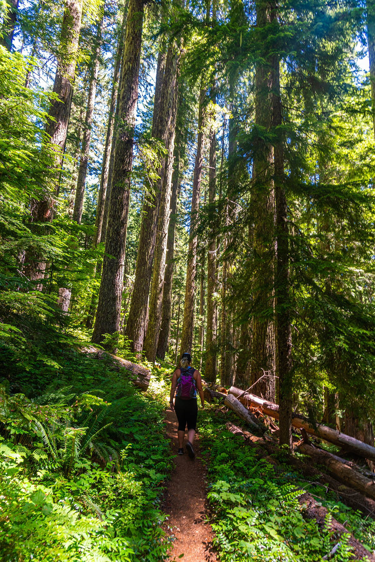 Crescent Mountain Hike Image