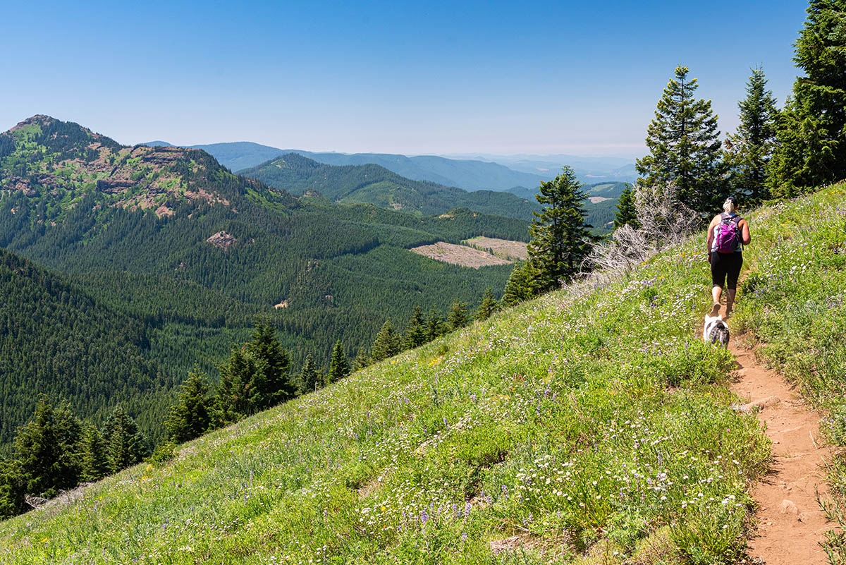 Crescent Mountain Hike Image