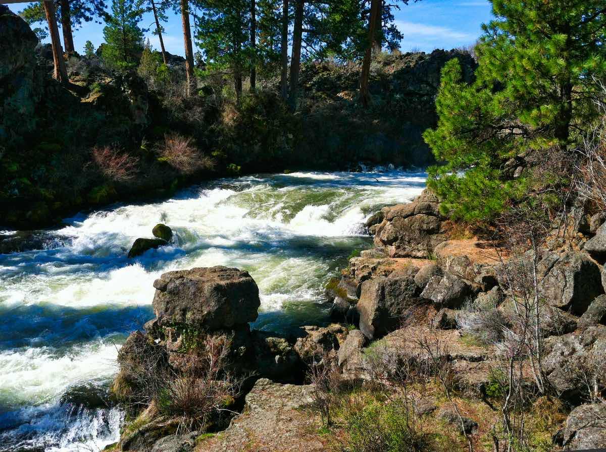 Deschutes River Trail - Dillon Falls to Benham Falls Hike Image