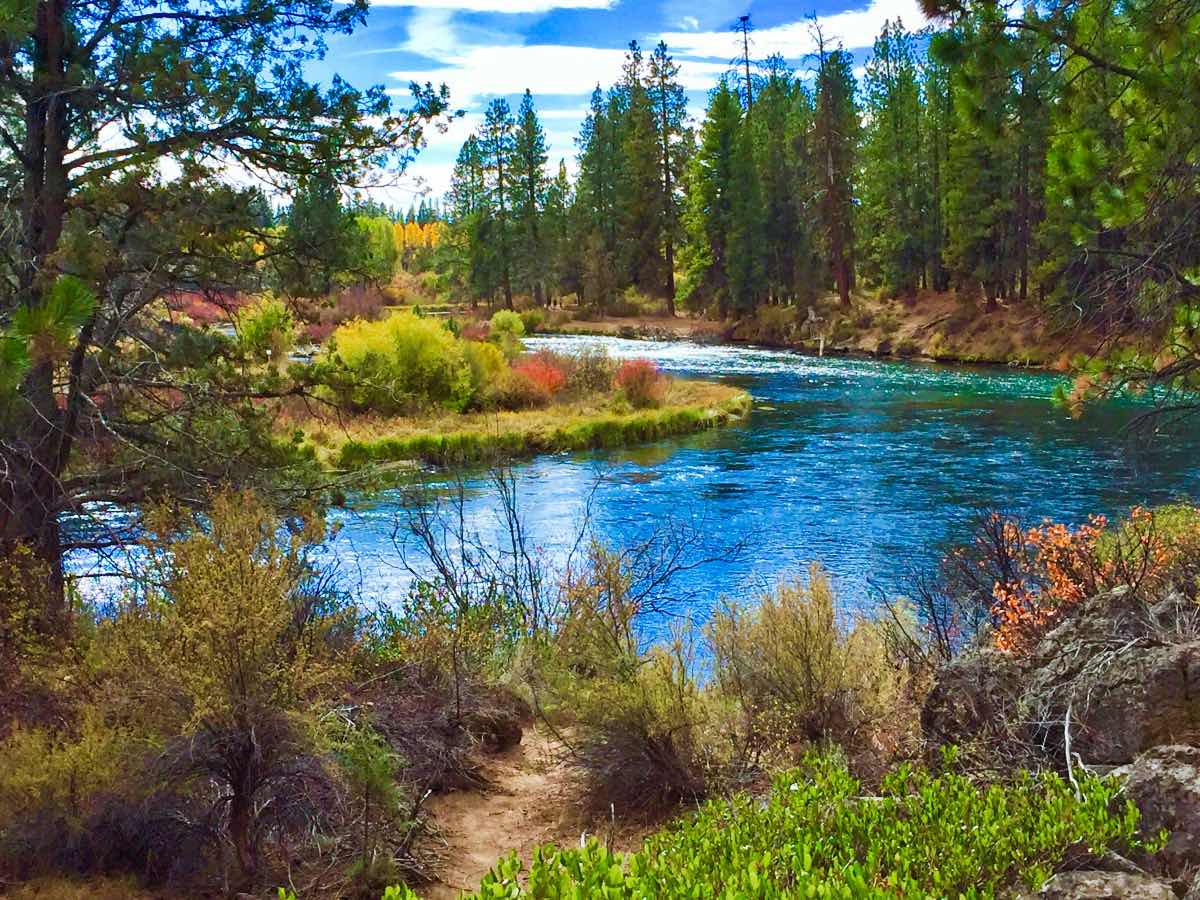 Deschutes River Trail - Dillon Falls to Benham Falls Hike Image