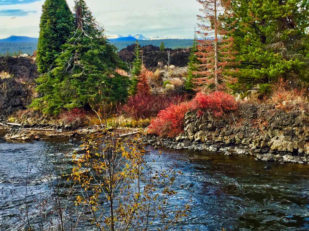 Deschutes River Trail - Dillon Falls to Benham Falls Hike Image