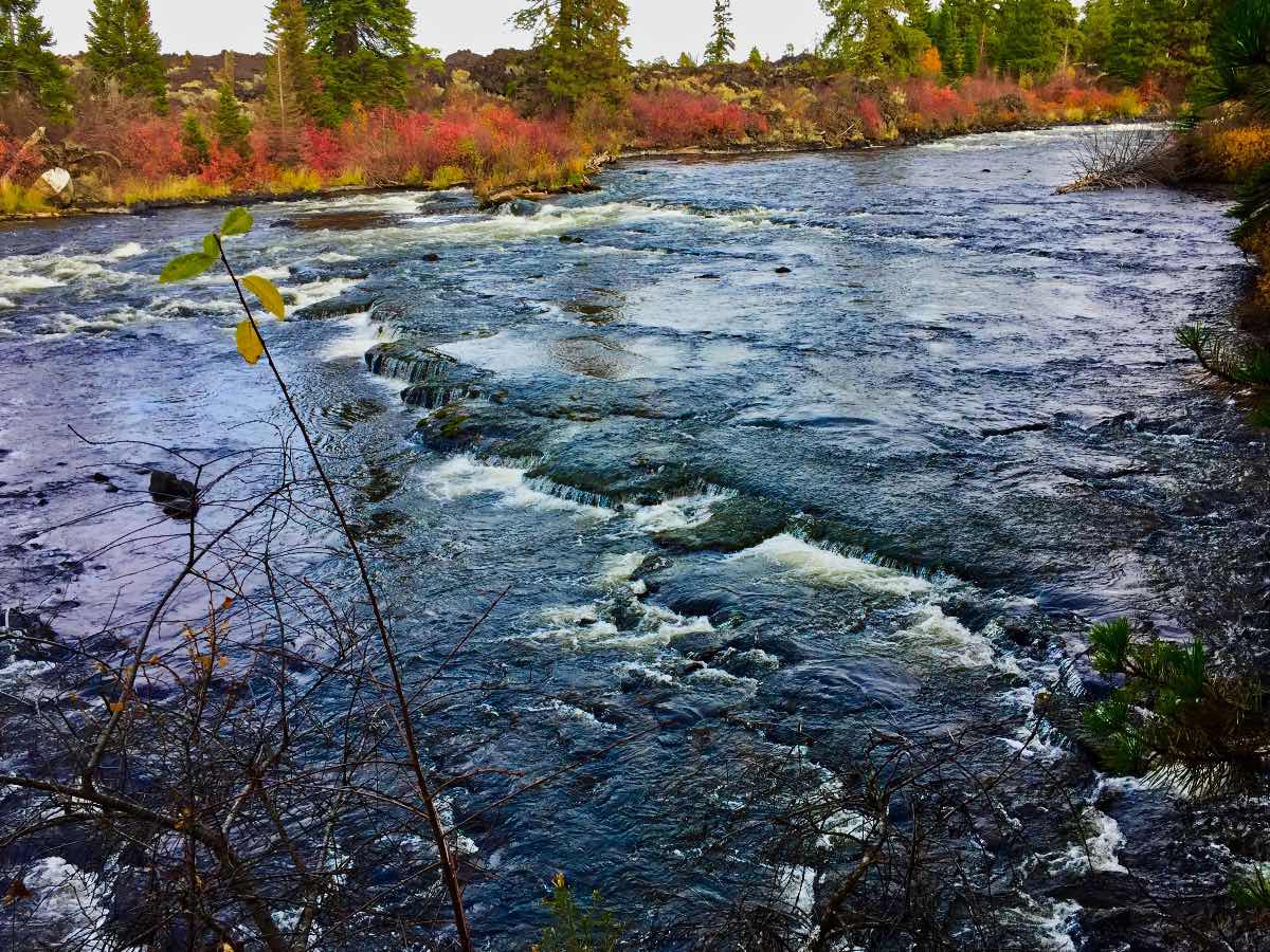 Deschutes River Trail - Dillon Falls to Benham Falls Hike Image