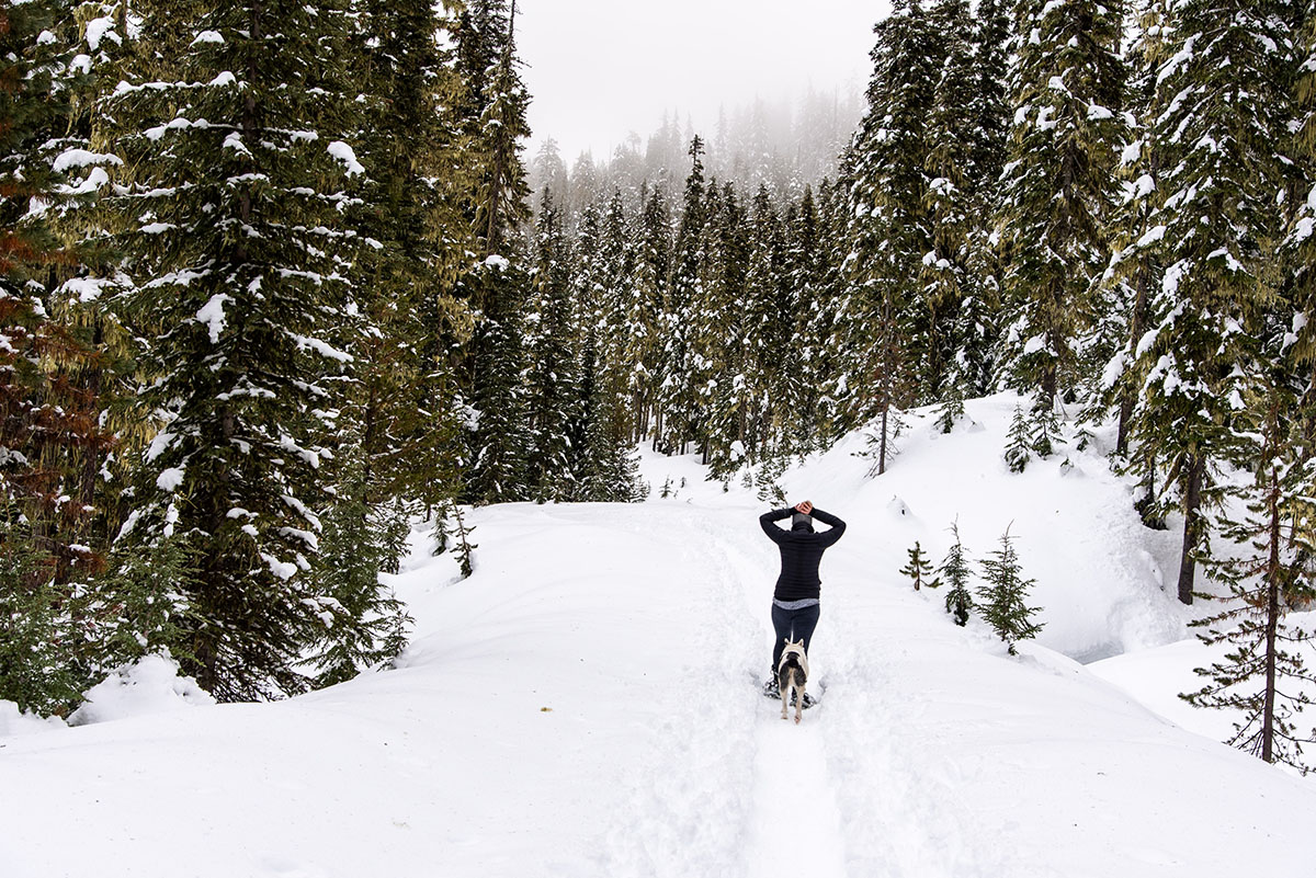 Midnight Lake Hike Image
