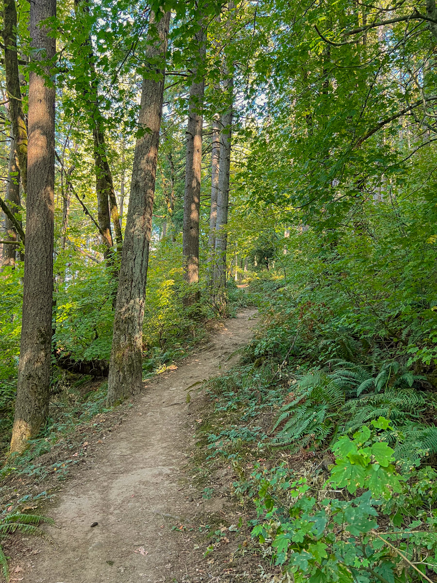Mount Talbert Natural Area Hike Image