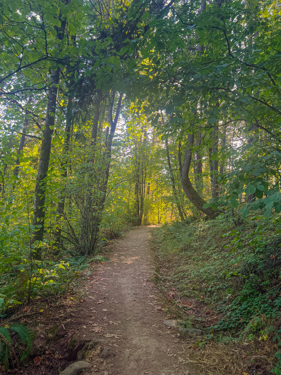 Mount Talbert Natural Area Hike Image