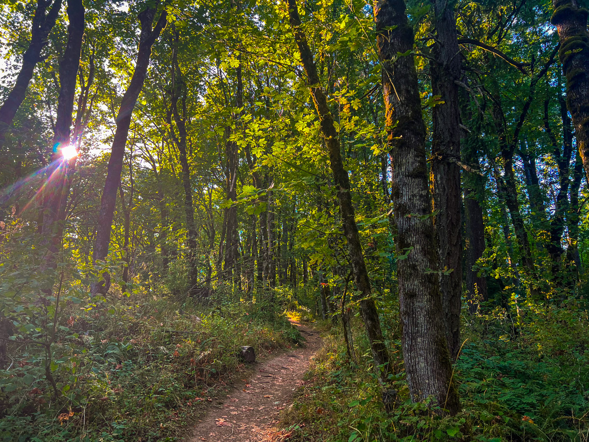 Mount Talbert Natural Area Hike Image
