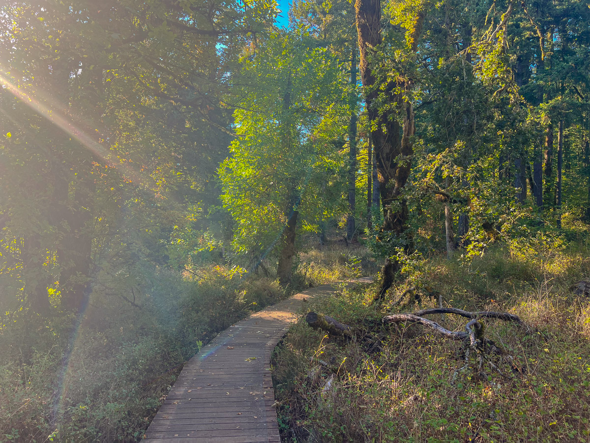 Mount Talbert Natural Area Hike Image