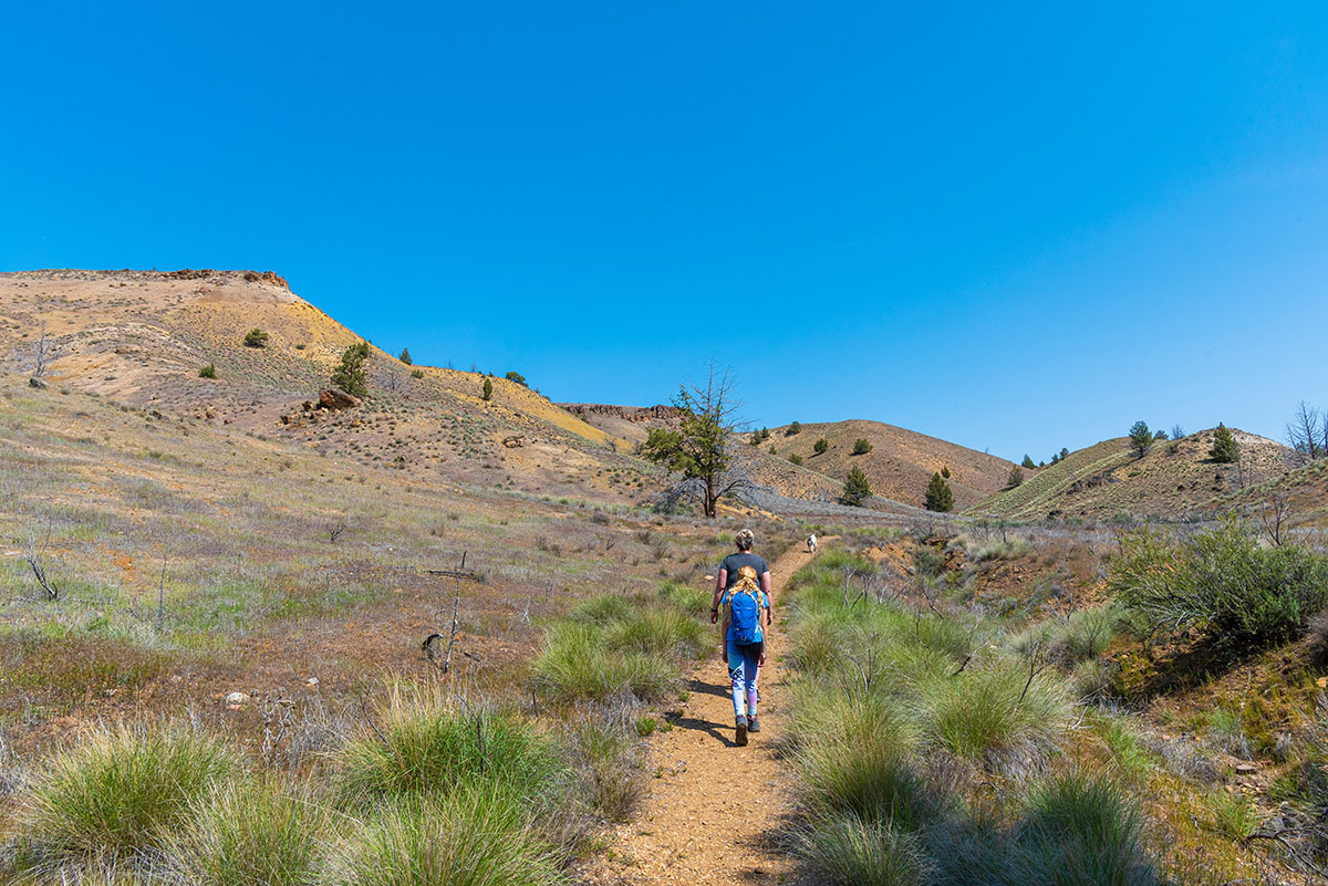 John Day Fossil Beds - Red Hill Loop Hike Image